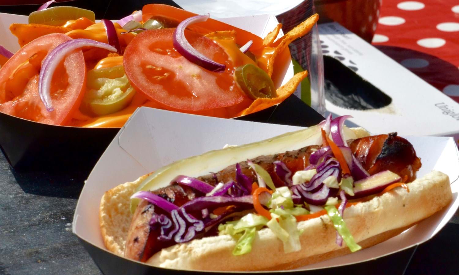 The Surrey Food Festival Information